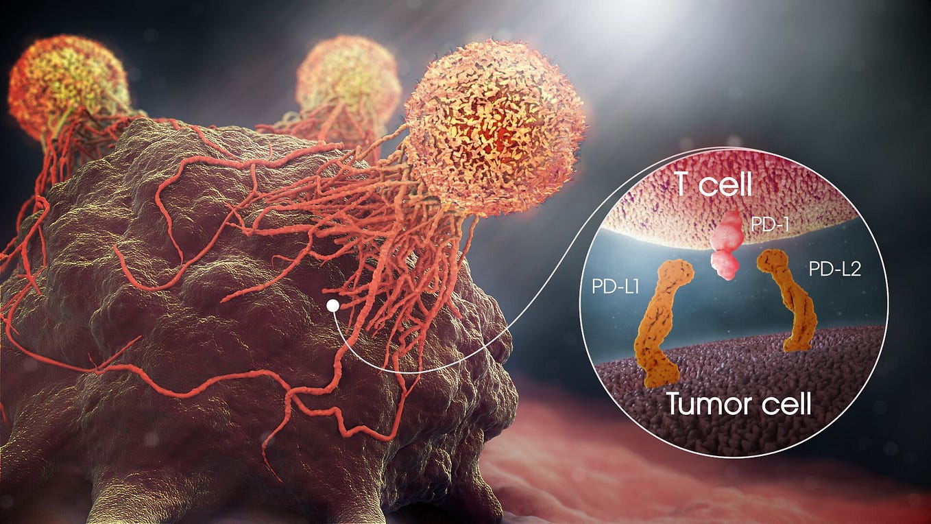 AI, ML, DL and GenAI. AI: Artificial Intelligence, ML… | by Ghazala Sultan | Medium