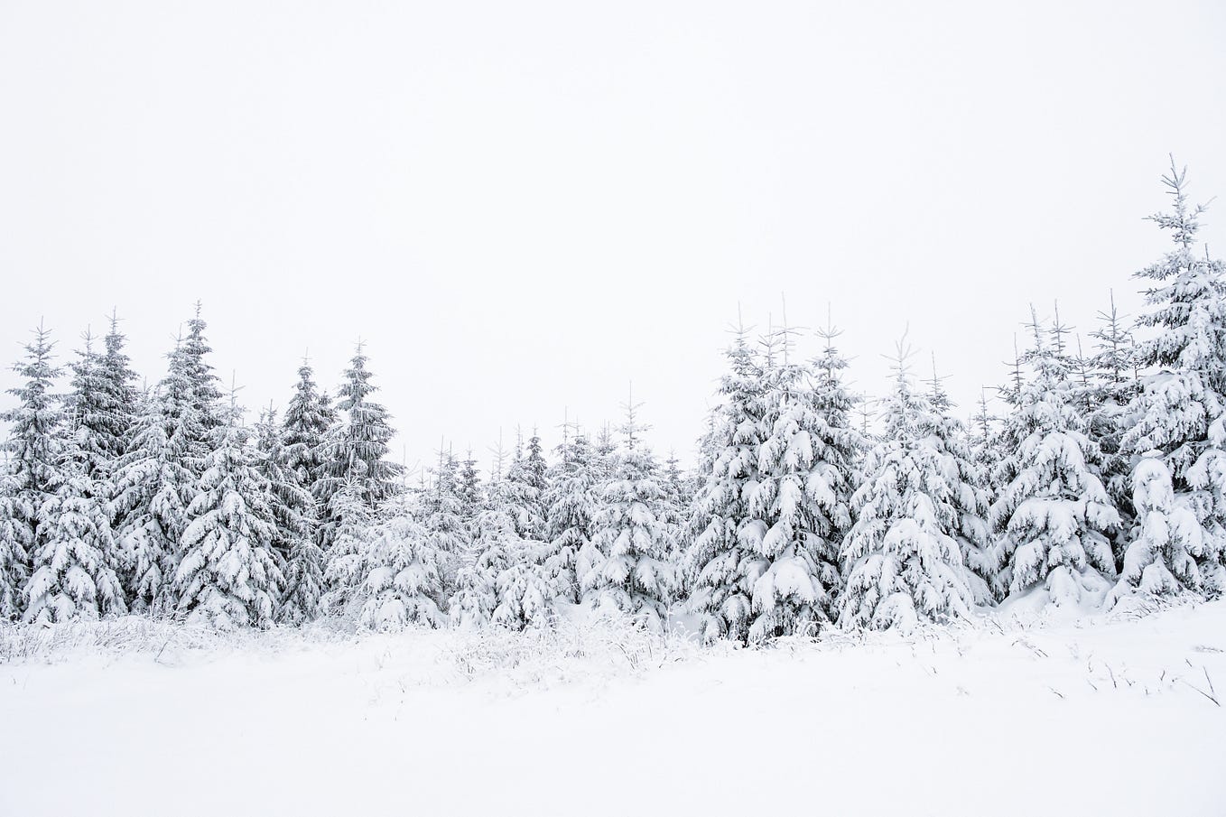 Koodana Credit loan c u s t o m e r care number 9679314451x9679314451 ...