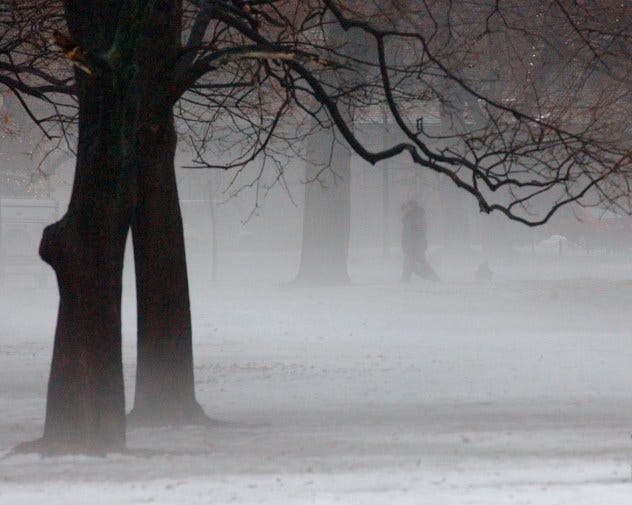 IntegerChoices in Django Models: working seamlessly from the backend and the frontend using ...