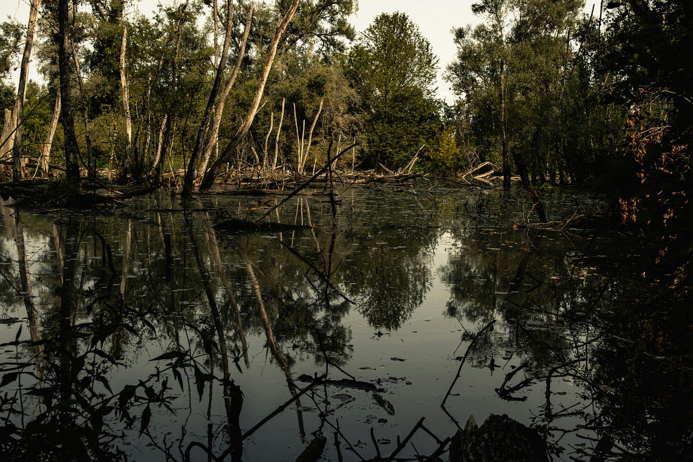 How to Describe Scenery in a Meaningful Way | by Elaine Medline | Jun ...