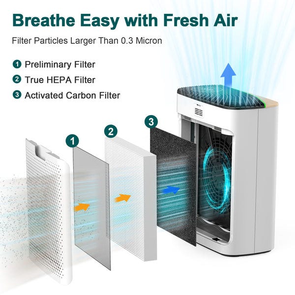 The Quiet Revolution: Can Silent Air Purifiers Really Deliver? | by ...