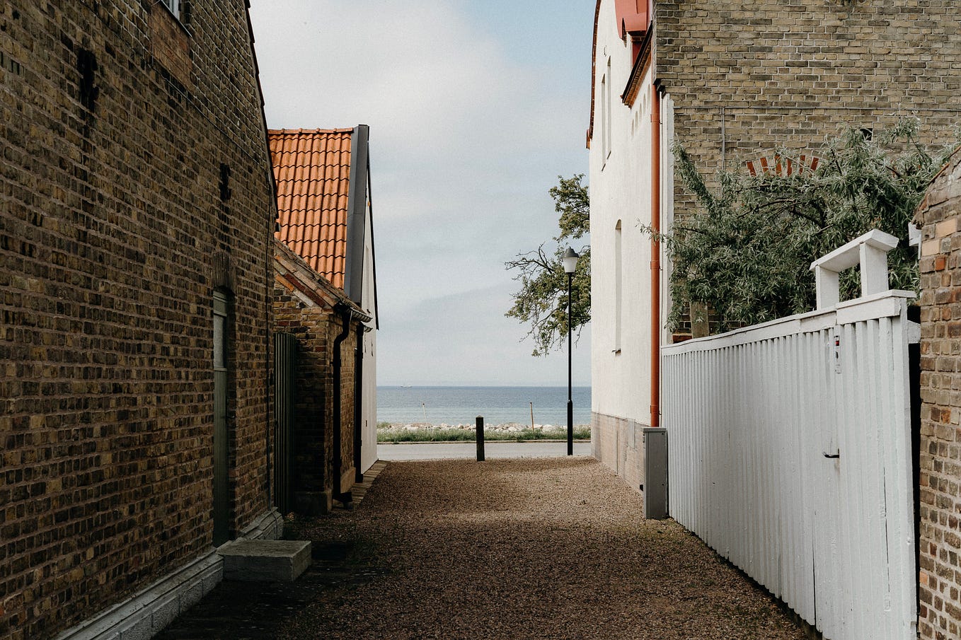 FAQ About Our Forest School Founded By The Brothers Grimm | by Ruyi Wen | Slackjaw | Medium