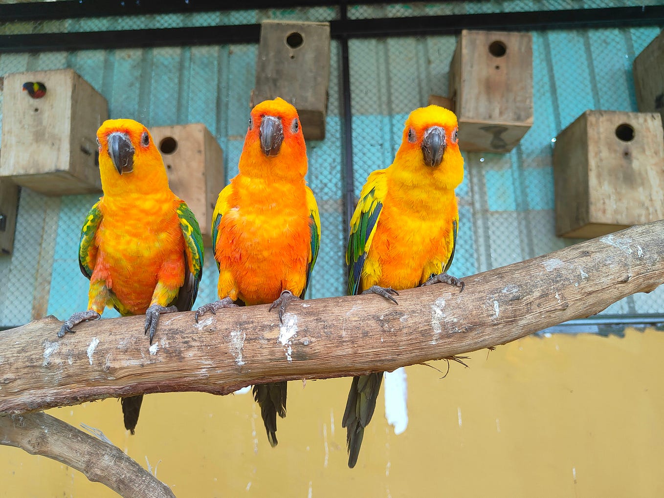 How to make sense of Kotlin coroutines | by Joffrey Bion | ProAndroidDev