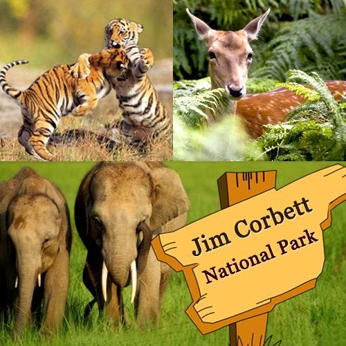 Heritage and History: The Fascinating Corbett Museum in Ramnagar | by ...