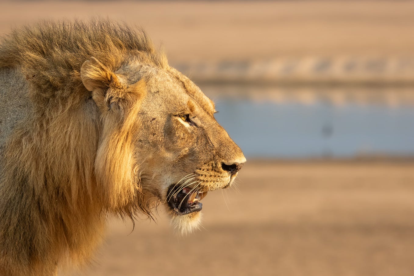 Sean Sellers was executed for crimes he did at 16 | Medium