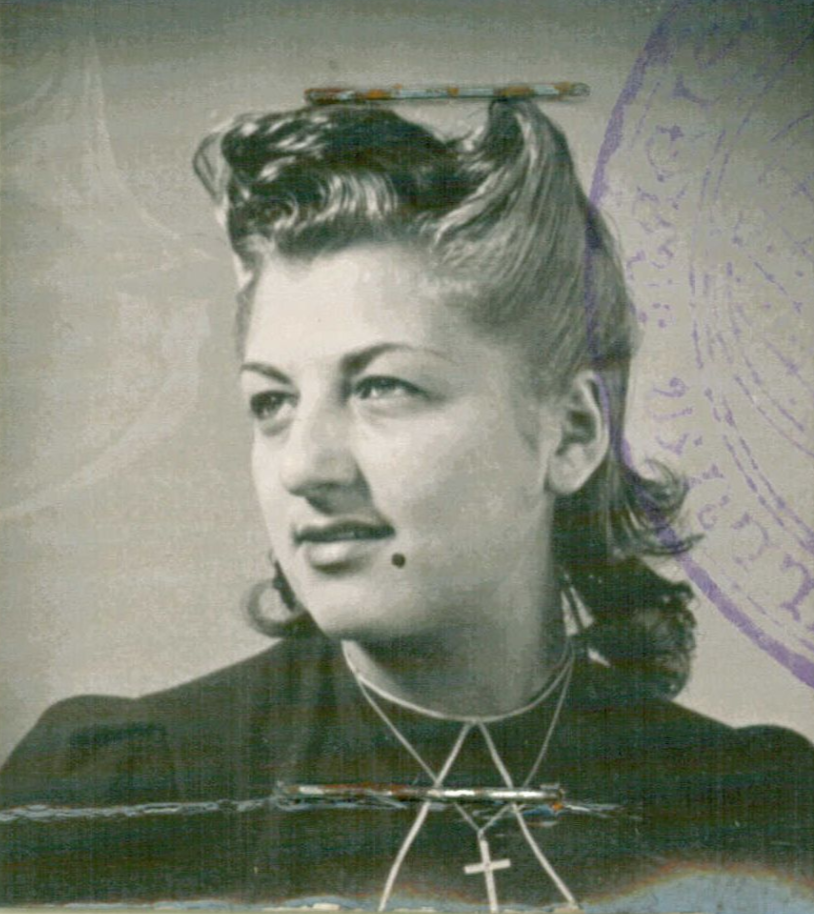 What Happened on Earth Right After the Dinosaurs Died? | by Sal | Lessons from History | Medium