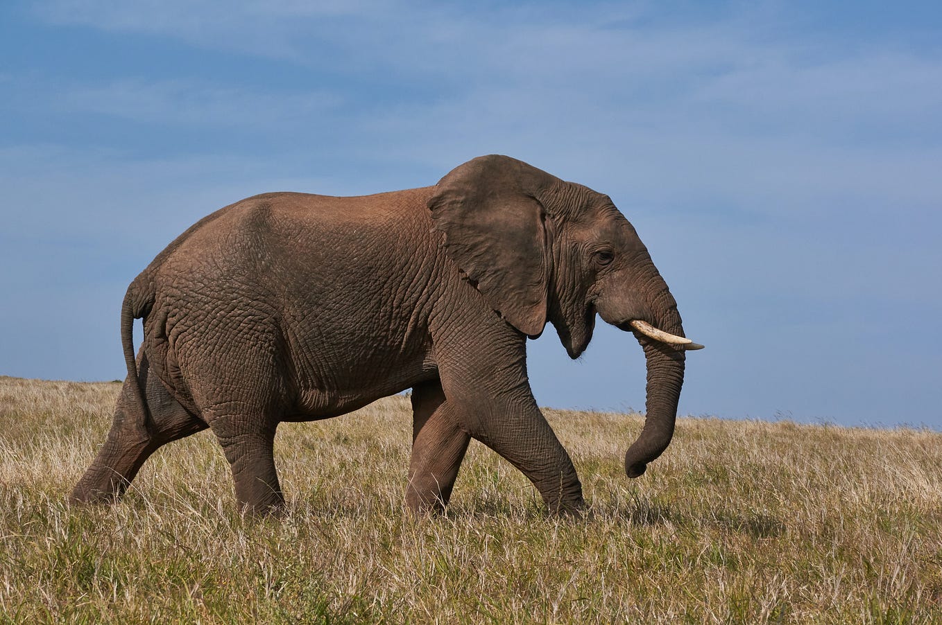 Creating Partitions Automatically In Postgresql By Streambright Medium