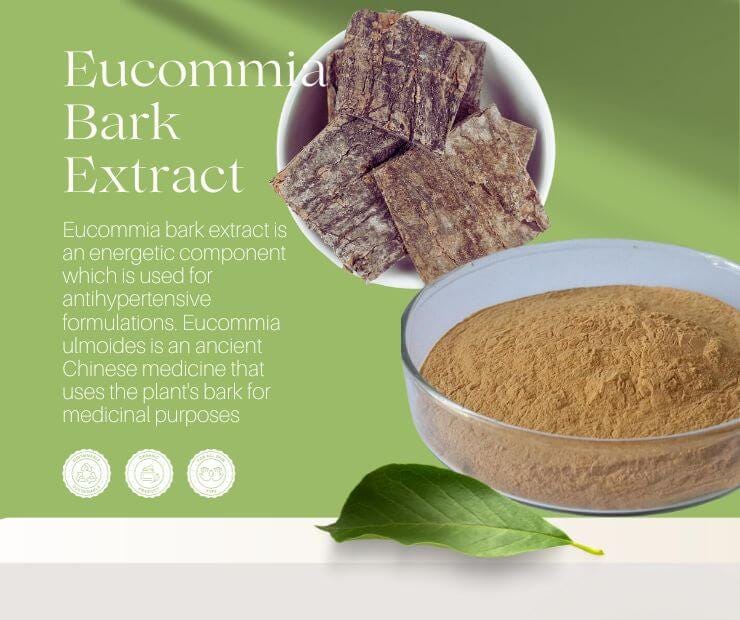 Yohimbe Bark Extract - QherbExtract - Medium
