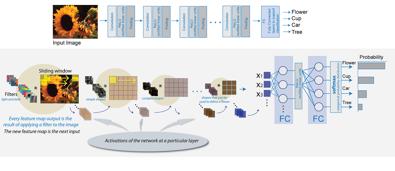 Spatial Vs Frequency Domain A Guide To Image Interpretation By Chaw