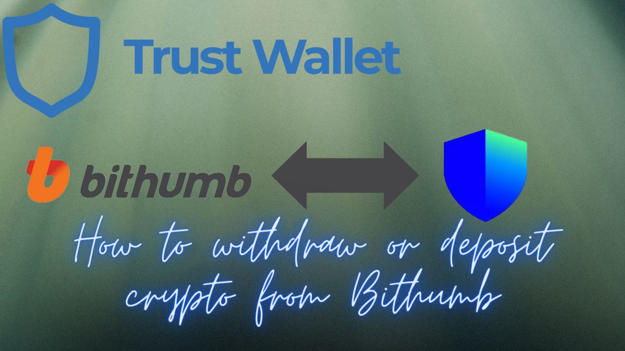 How to Withdraw or Deposit Crypto From bitFlyer To Trust Wallet ...