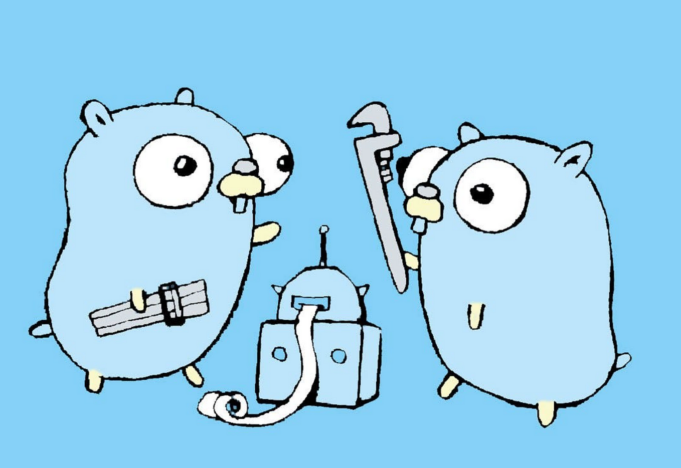 Golang Technique How To Add Default Values To Function Parameters 