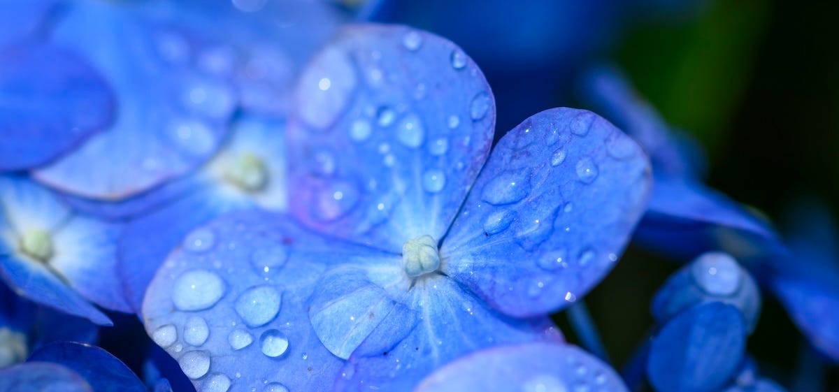 Zustand in React: DOs and DON’Ts. In the last post, we’ve seen how to ...