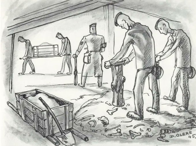 Thomas Dalton Replies to History Speaks | by History Speaks | Medium