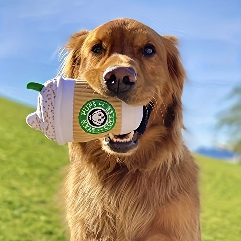 Mammoth Flossy Chews Color Rope Tug — Premium Cotton-Poly Tug Toy for ...