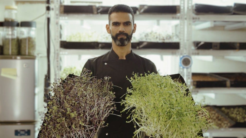 Unveiling the Anti-Aging Elixir: Microgreens’ Remarkable Impact on ...
