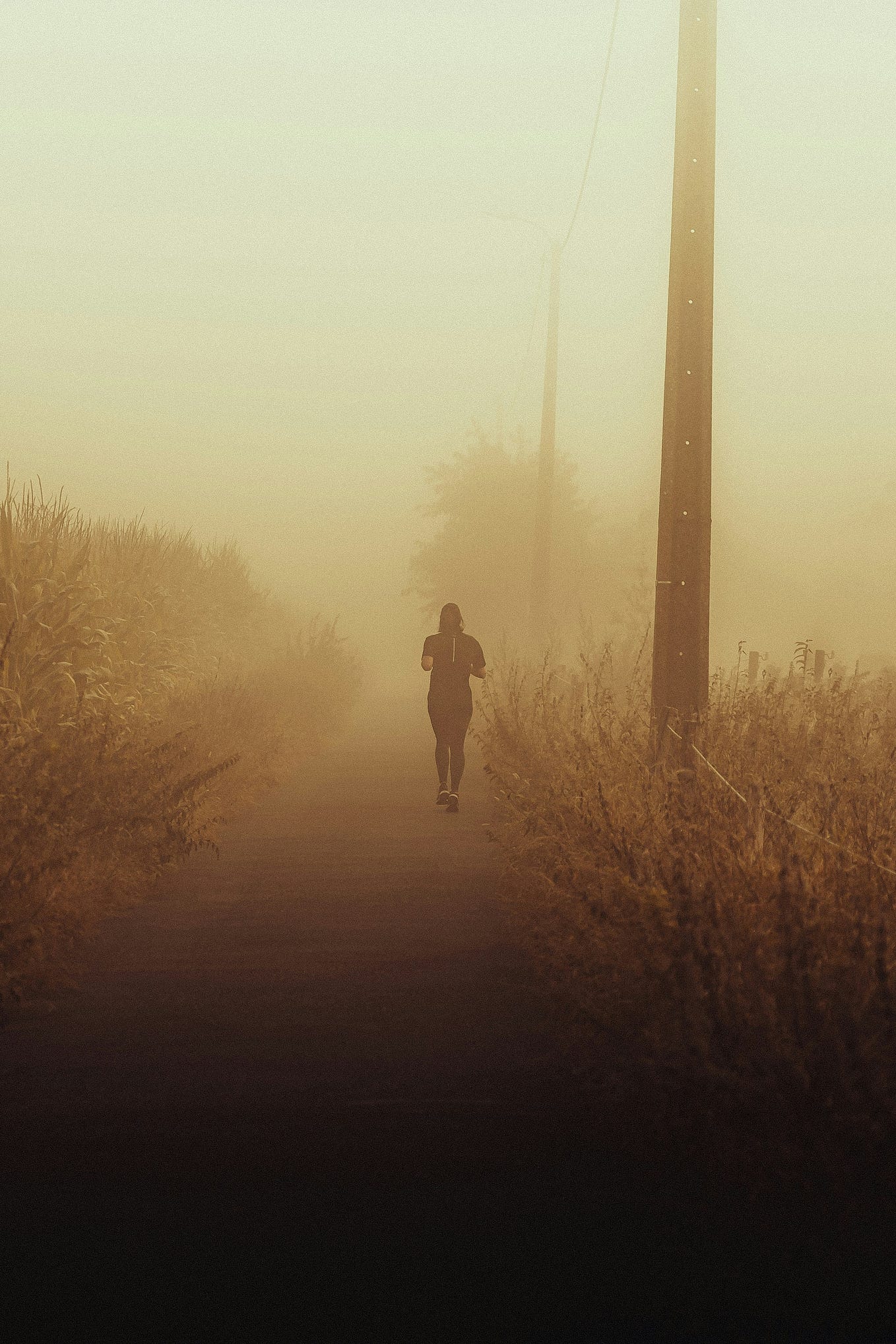 Here’s One Of The Best Glute Activation Exercises | by Blake Shields ...