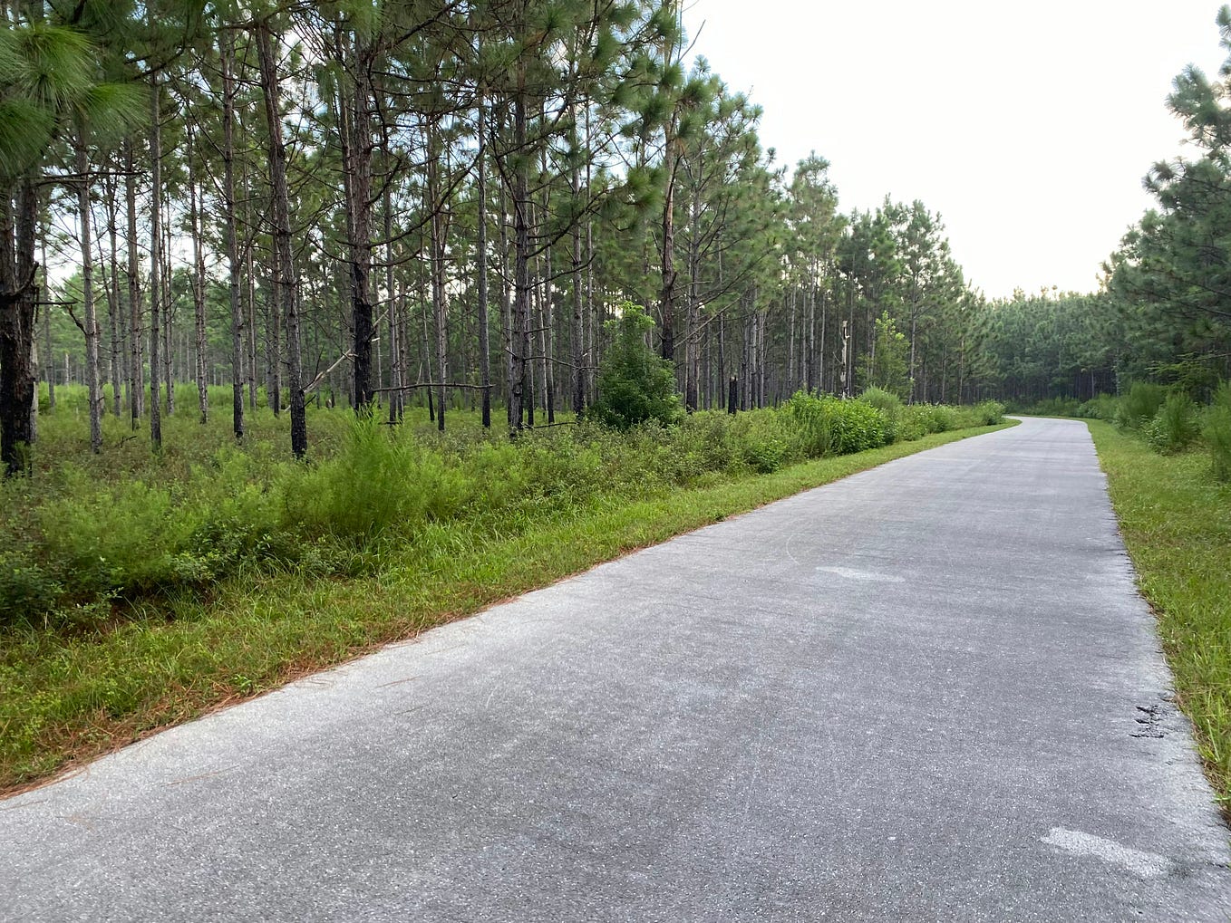 Understanding Covert Malignant Narcissism | by Tina | Medium