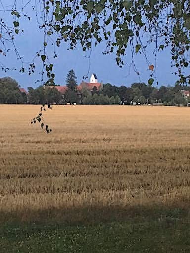 International Driver’s License Scams | by Beth Hoke | Medium