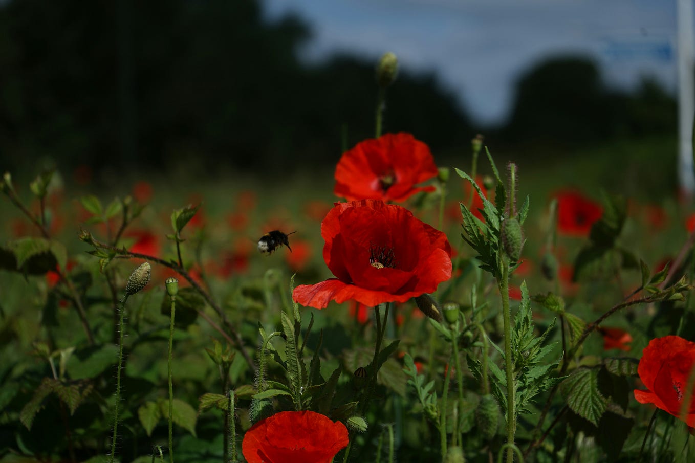 Remote Vs Code With Gcp Setting Up Your Remote Workflow Using By