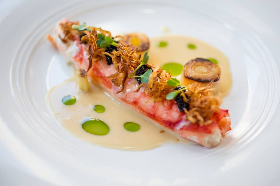 How Do Trees Grow?. Leonardo da Vinci, the master of… | by Eylul Erdal | The Istanbul Chronicle ...