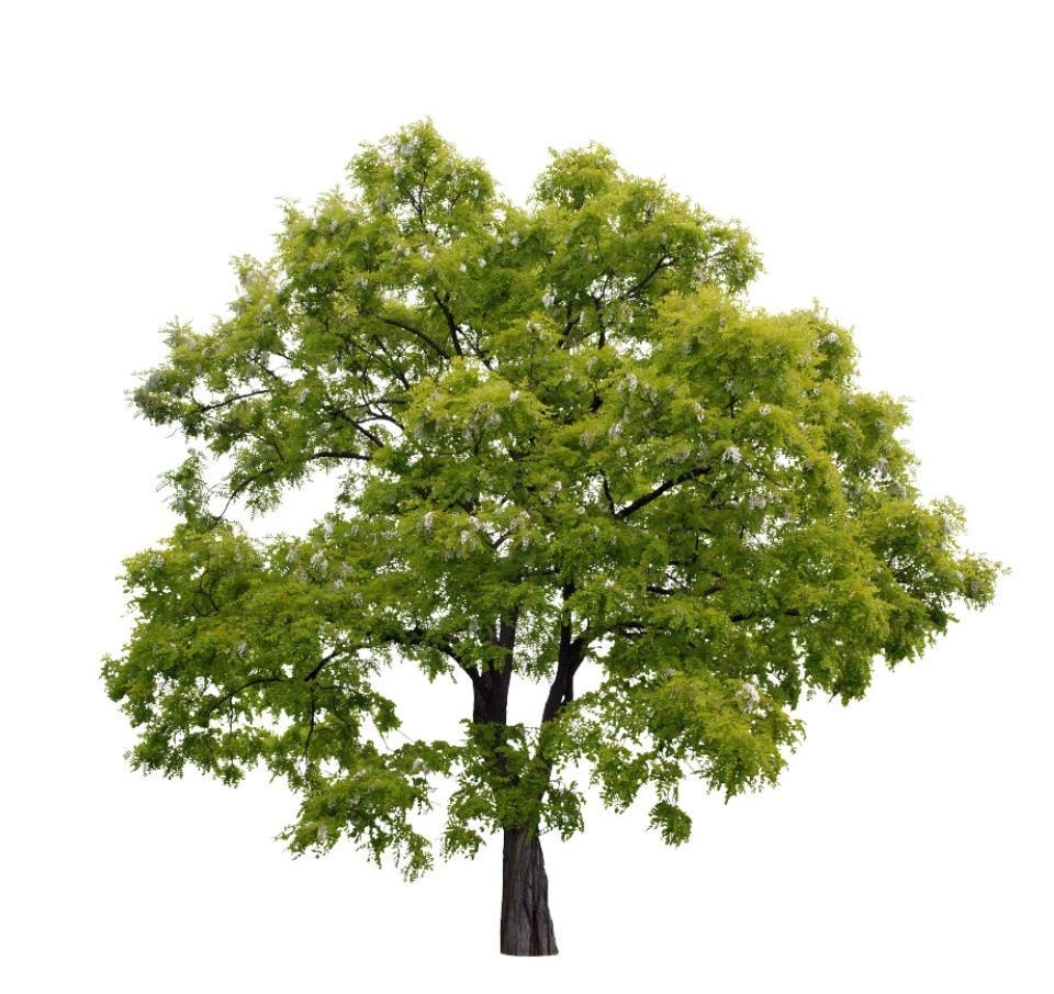 The Four Ways Employees Steal!. by Joseph Zingone, Part Three of Three ...