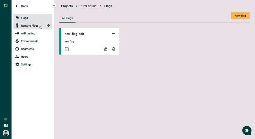 Feature Flags vs Branching. Feature flagging allows developers to… | by ...