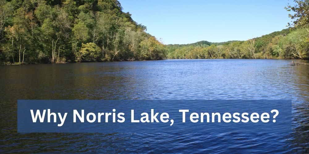 The Best Time To Visit Norris Lake For Vacation | by ...