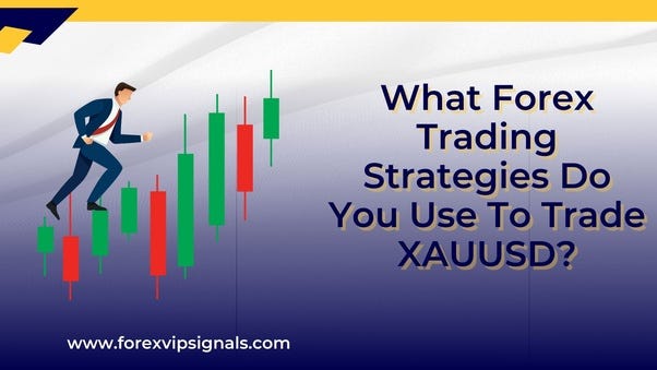 Forex Algorithmic Trading Course Master Strategies For Success By Shayla Khan Jul 2024