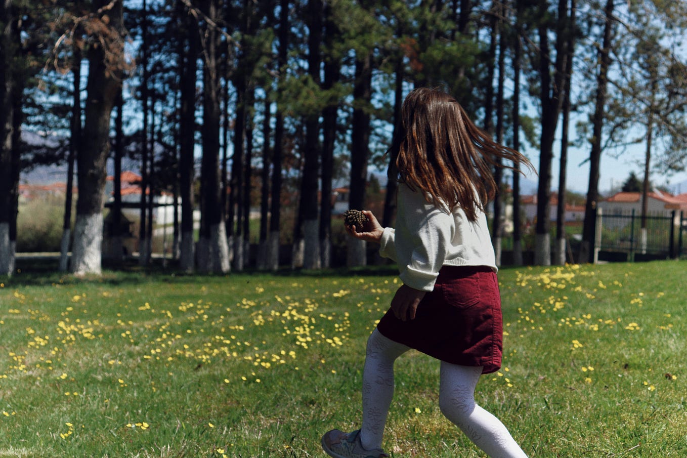Green Beginnings in ‘The Overstory’ | by Julie Borden | The Shortform ...