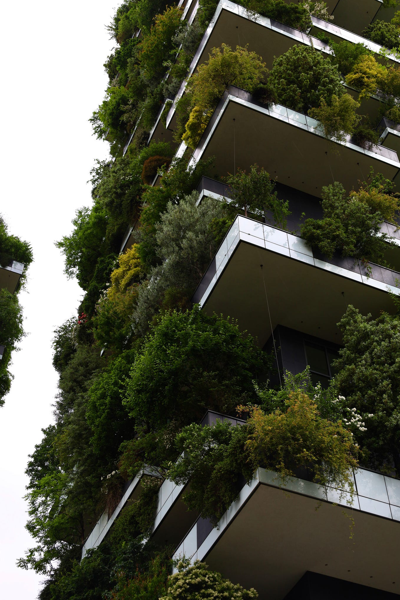The Role and Evolution of Suburban Areas: Theories, Trends, and Future ...