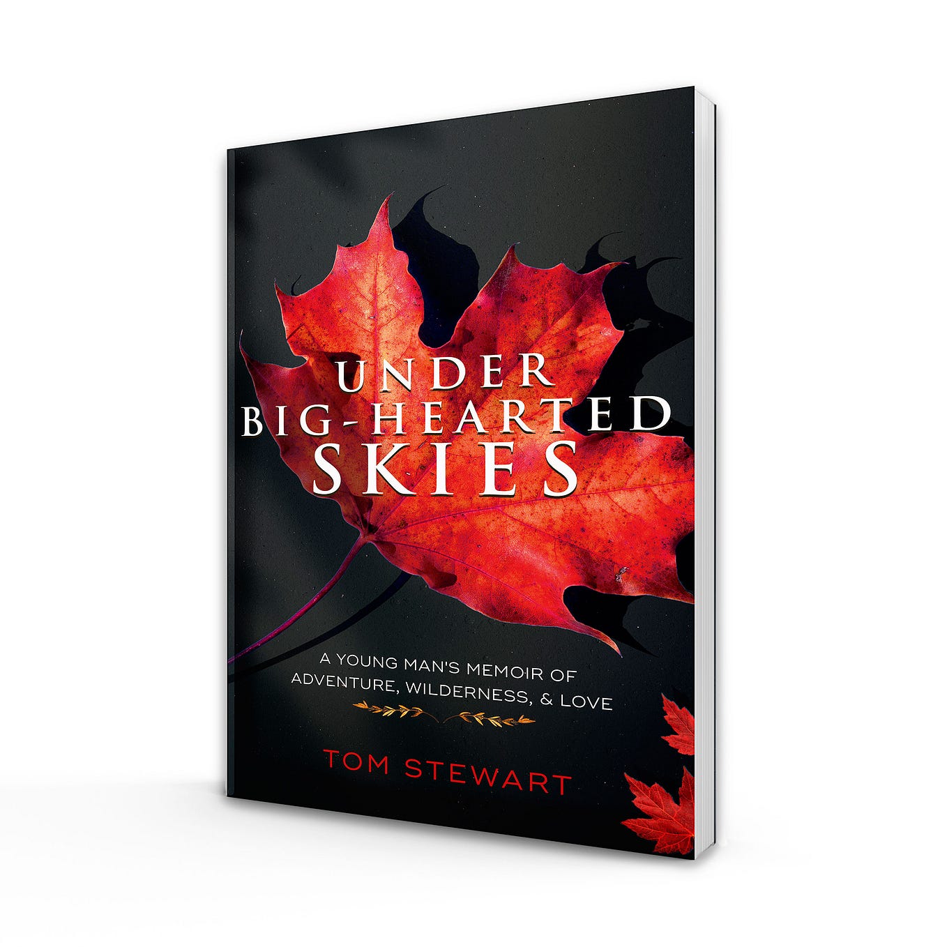PDF Down the Drain — Julia Fox | by Ella Wainio | Jun, 2024 | Medium