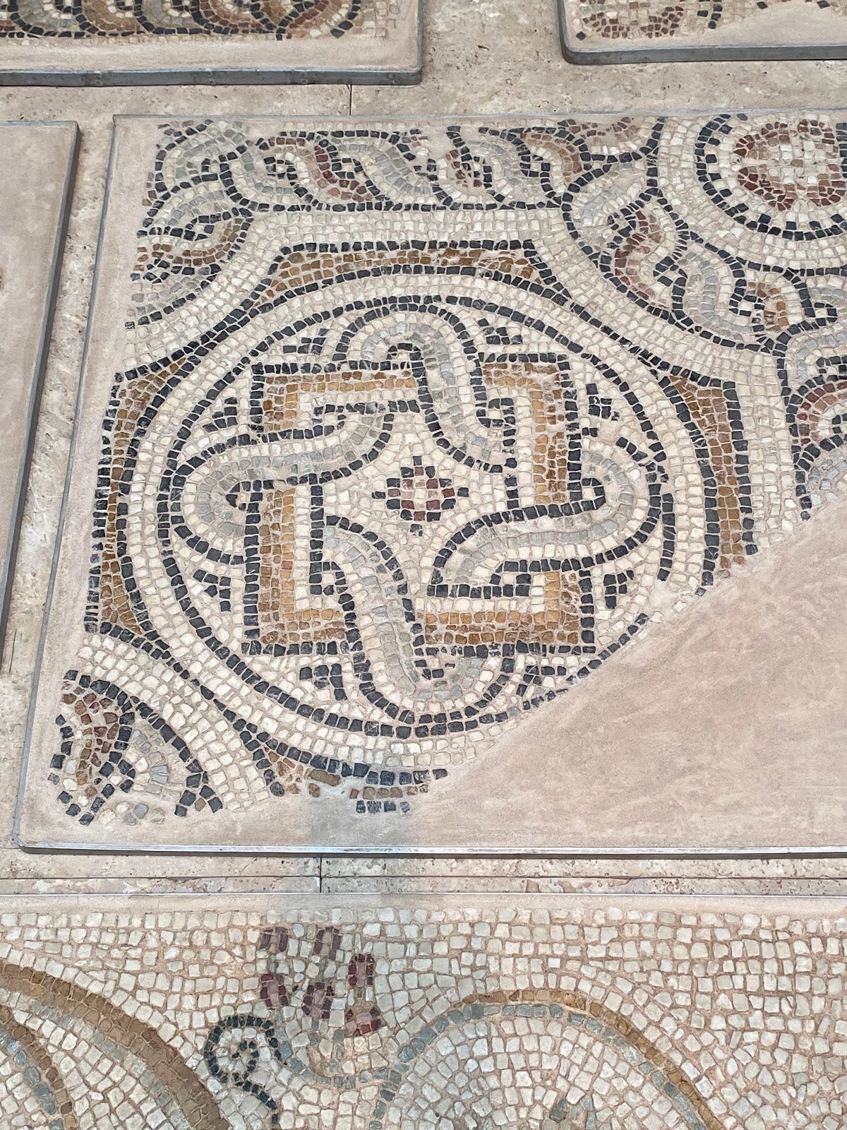 The Symbolic Language of the Grapevine: Decoding Ancient Messages ...