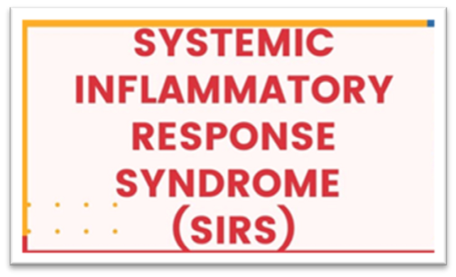 Stored Procedures in PostgreSQL. In PostgreSQL, a stored procedure is a… | by Anita Khatri | May ...