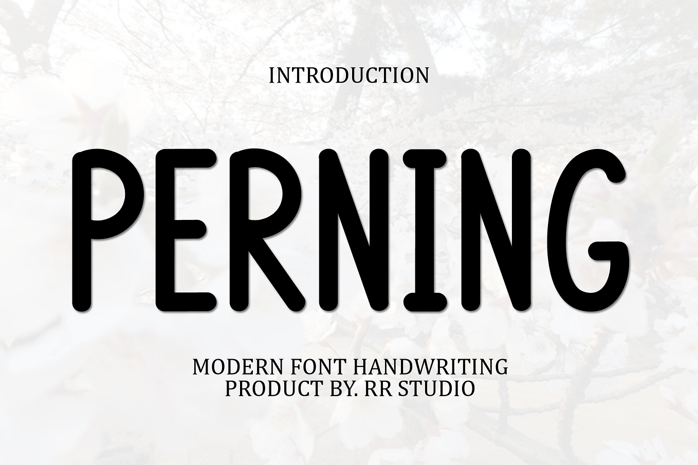 Magnificent Sans Serif Font | by Emmaethereal | Apr, 2024 | Medium