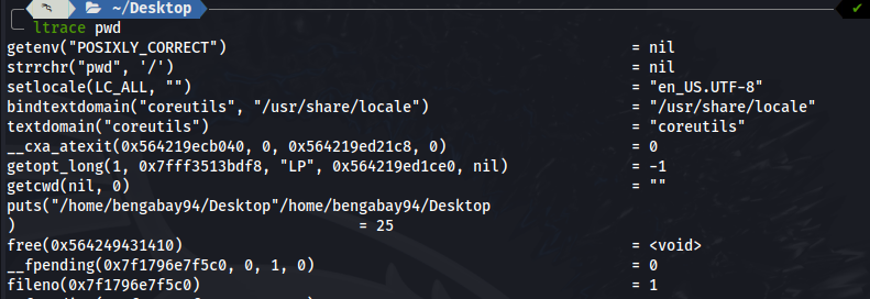 LE Baby Step 1: Format String Vulnerability | by BenGabay | Medium