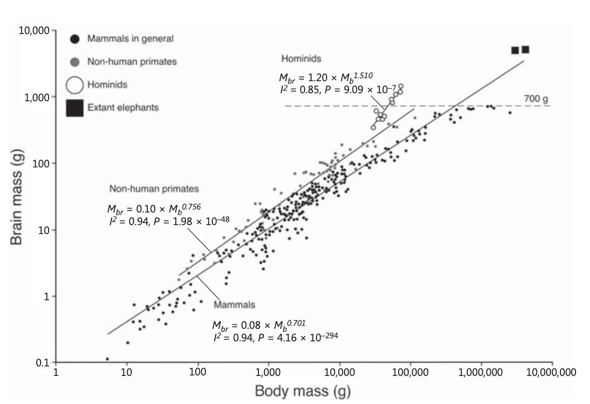 Understanding Multimodal LLaMA 3.2 Architecture | Medium