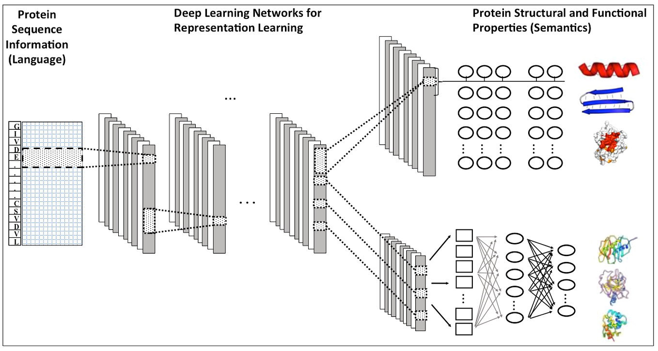 Using Deep Learning to predict properties of Therapeutic Peptides (Part ...