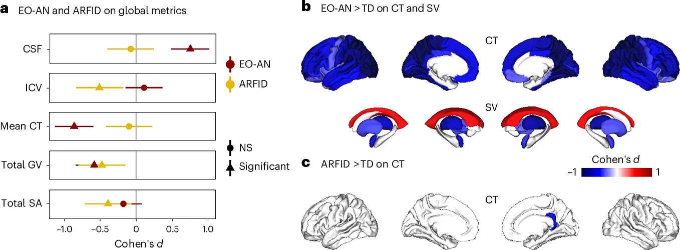 Microglia and Amyloid Beta: Unlocking the Brain’s Natural Defense ...