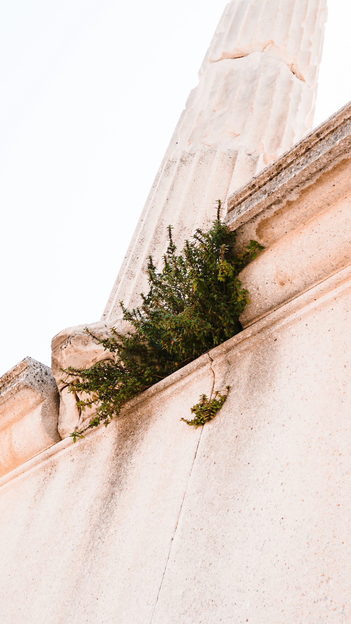 Wraiths Bellow in Black Lungs. A Poem Exploring Unnecessary Conflict… | by Ilija Begic ...