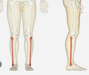 Ankylosing Spondylitis On The NHS And How We Treat It. | by ...