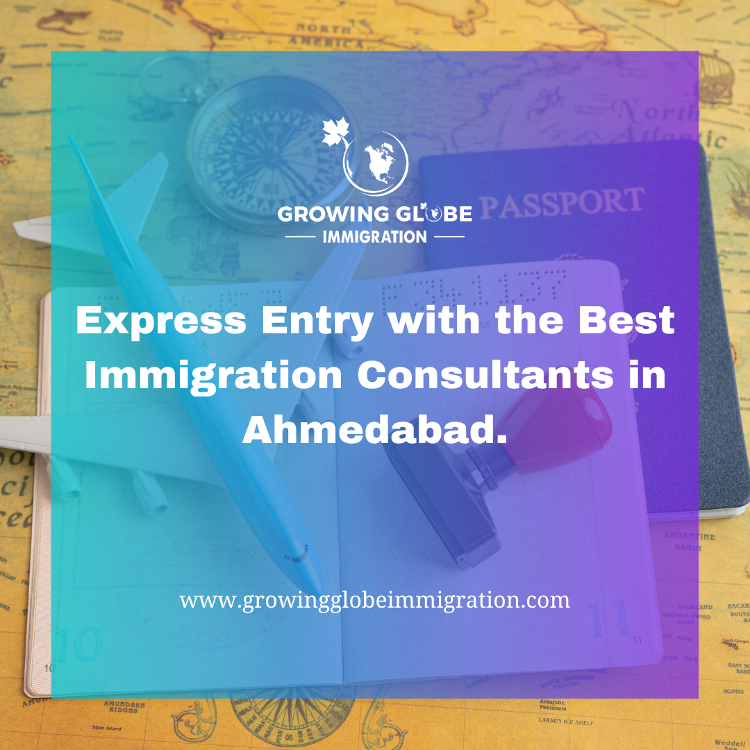 Your Guide to Choosing the Best Study Visa Consultants in Ahmedabad ...
