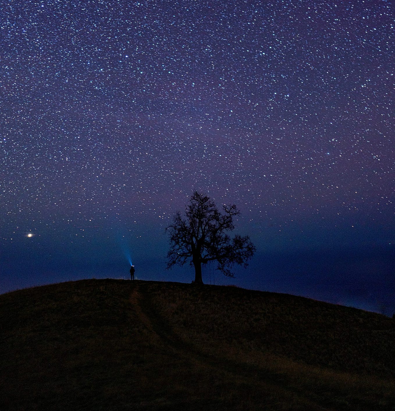 A Gateway to Scalable AI Integration | by Cole McIntosh | Dev Genius