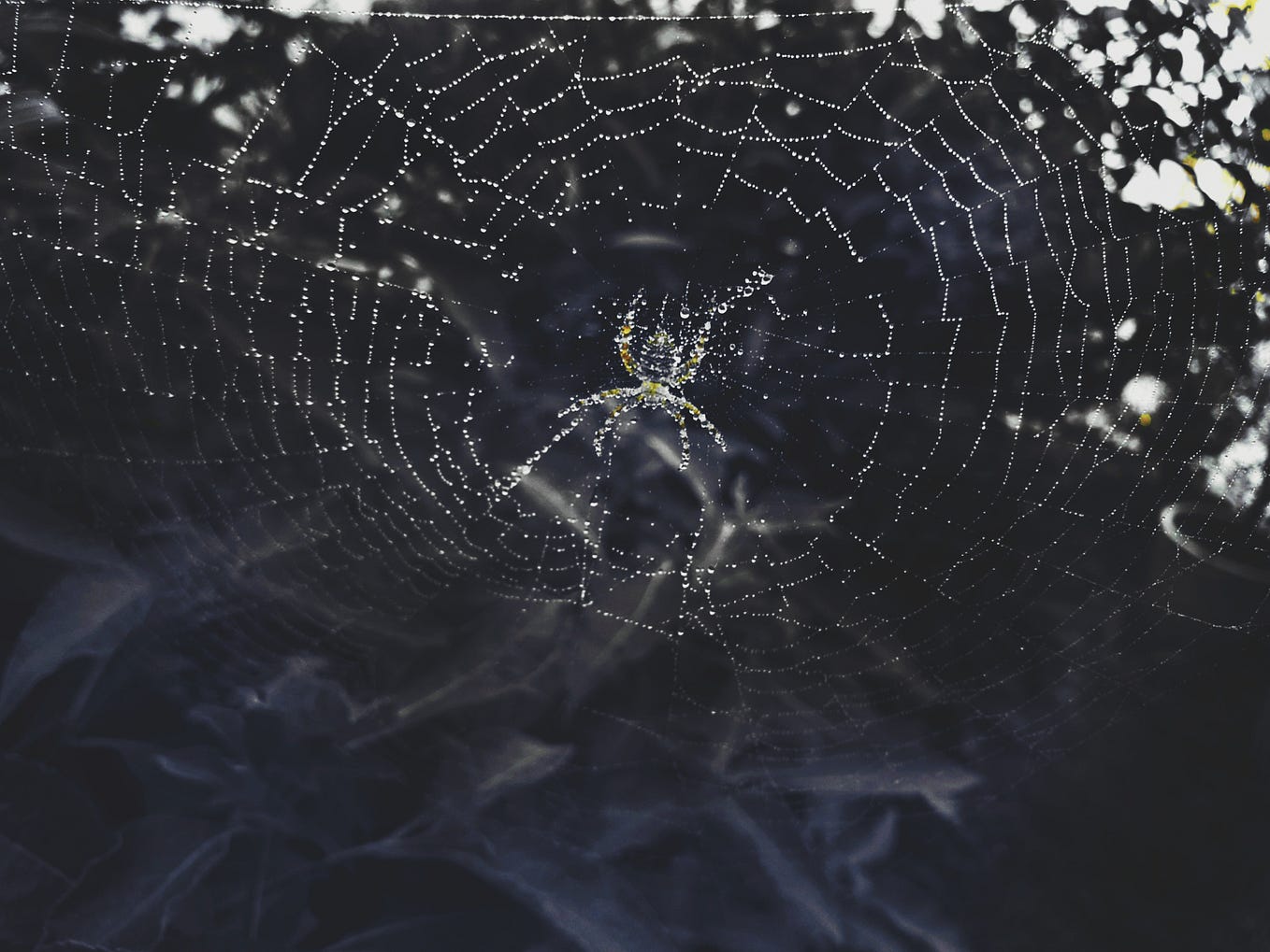 Consuming A Rest Api With React Hooks Using Design Patterns By Micaiah Wallace Webtips