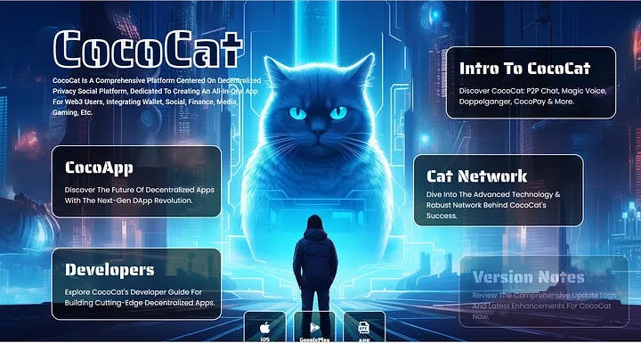 The Role of CoCoCat in the DePIN Revolution: A New Dawn for Digital ...