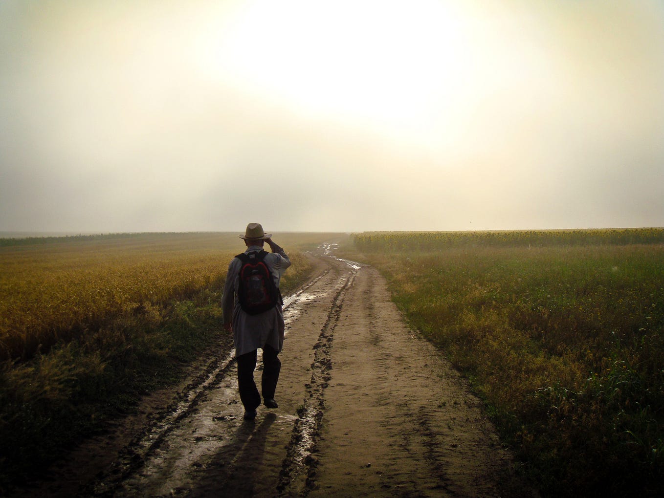 What You Can Learn From A Slow Person — I’m A Slow Woman Too | by Agnes ...