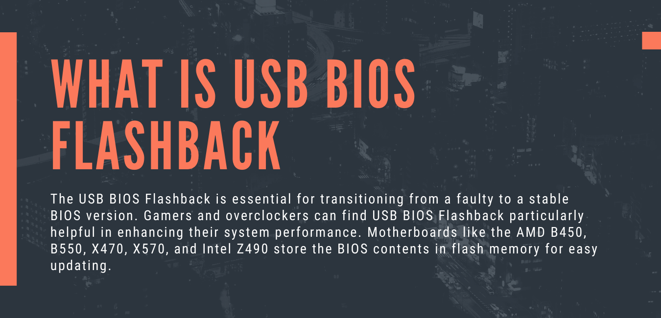 13 Asparagus Fern Types and Care Guide (With Pictures) | by Otollo ...