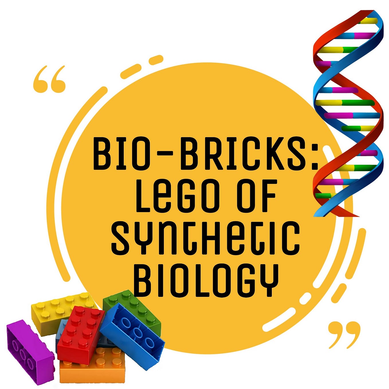 Synfinity The Infinite Applications Of Synthetic Biology By Vedika