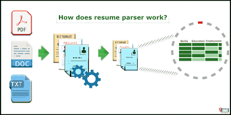 Building a Resume Parser Using NLP | by Chetaniya Bajaj | Medium