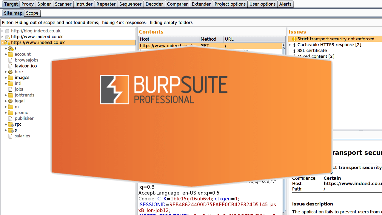 Burp Suite Enterprise vs. Burp Suite Professional: A Comprehensive ... Burp Suite Enterprise vs. Burp Suite Professional: A Comprehensive ...