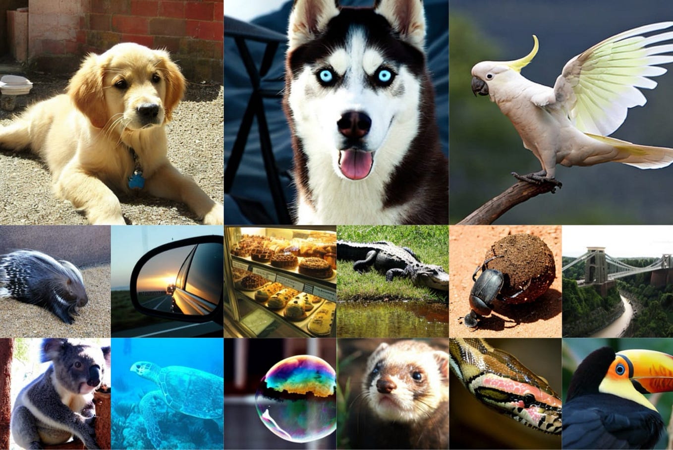 Collecting Data from Human Feedback for Generative AI | by OXEN AI. Build World-Class AI ...